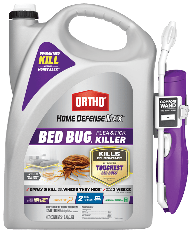 Bed Bug Liquid Treatment Pest Phobia