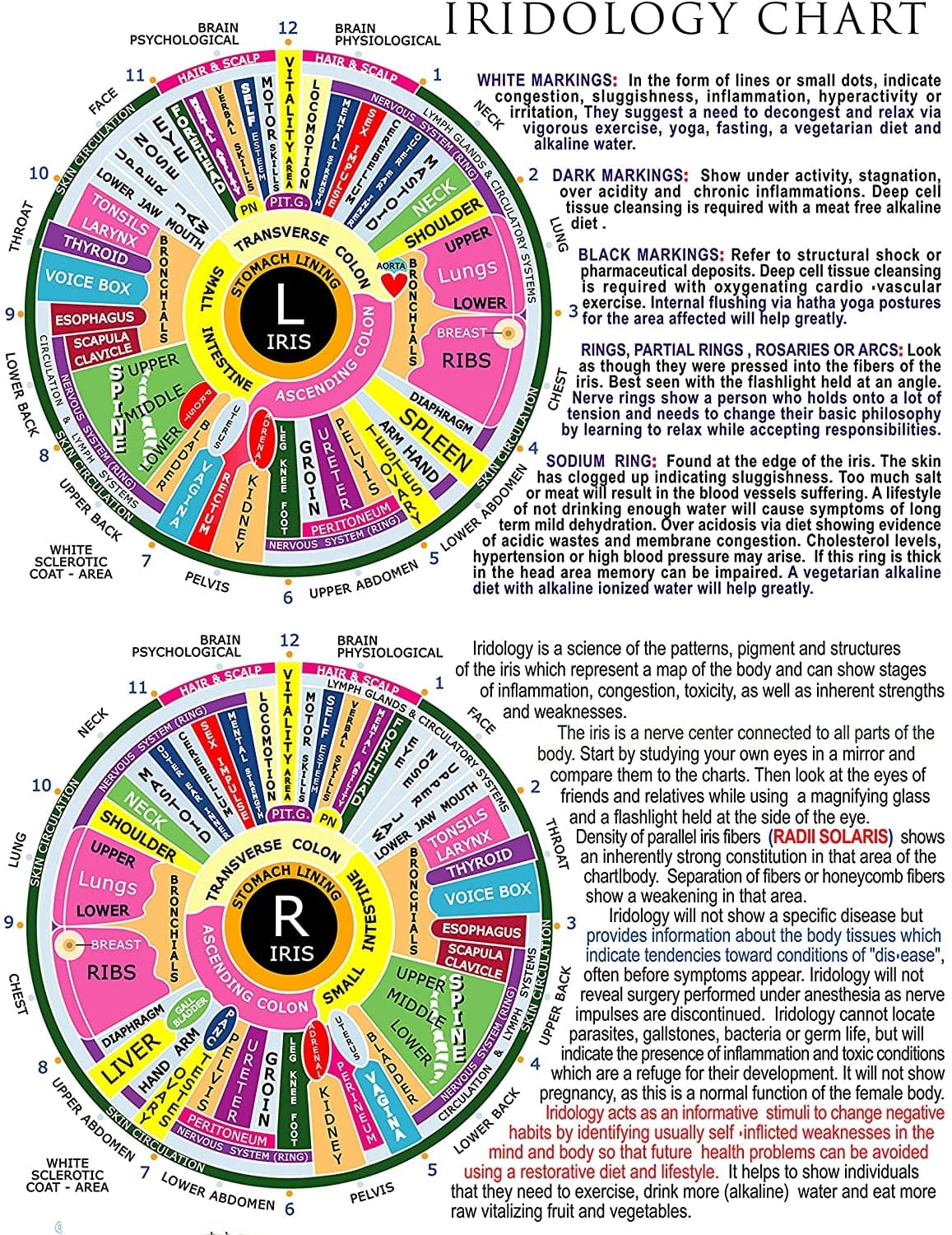 Iridology Near Me Philadelphia Holistic Clinic Dr Tsan And Associates