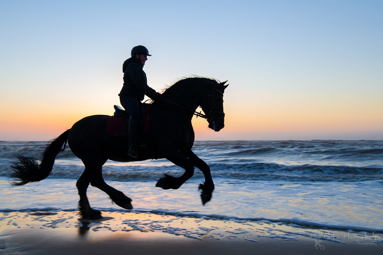 Paardenfotografie Op Het Strand Photo United