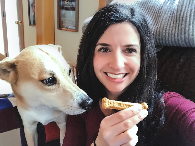 5 New Years Resolutions For My Dog Tamara Like Camera