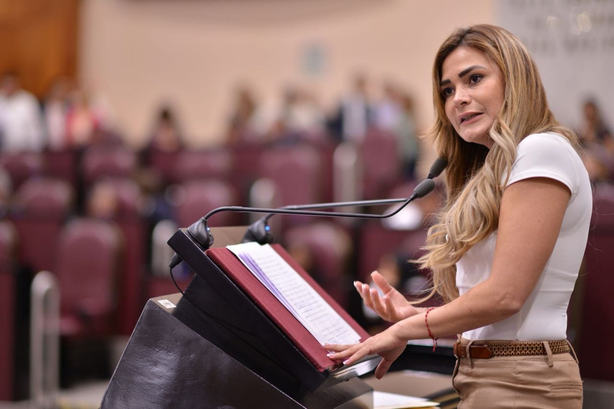 Propone Diputada María Josefina Gamboa Crear El Registro Estatal De