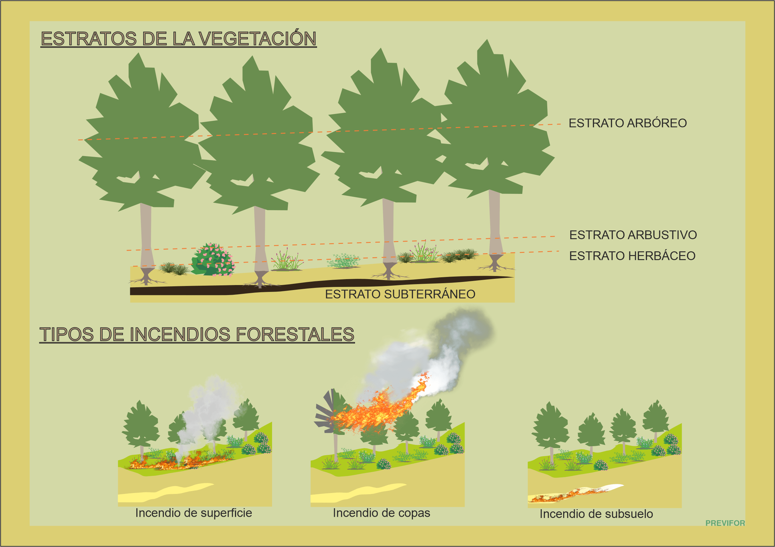 Tipos De Clasificación De Los Incendios Forestales Previfor