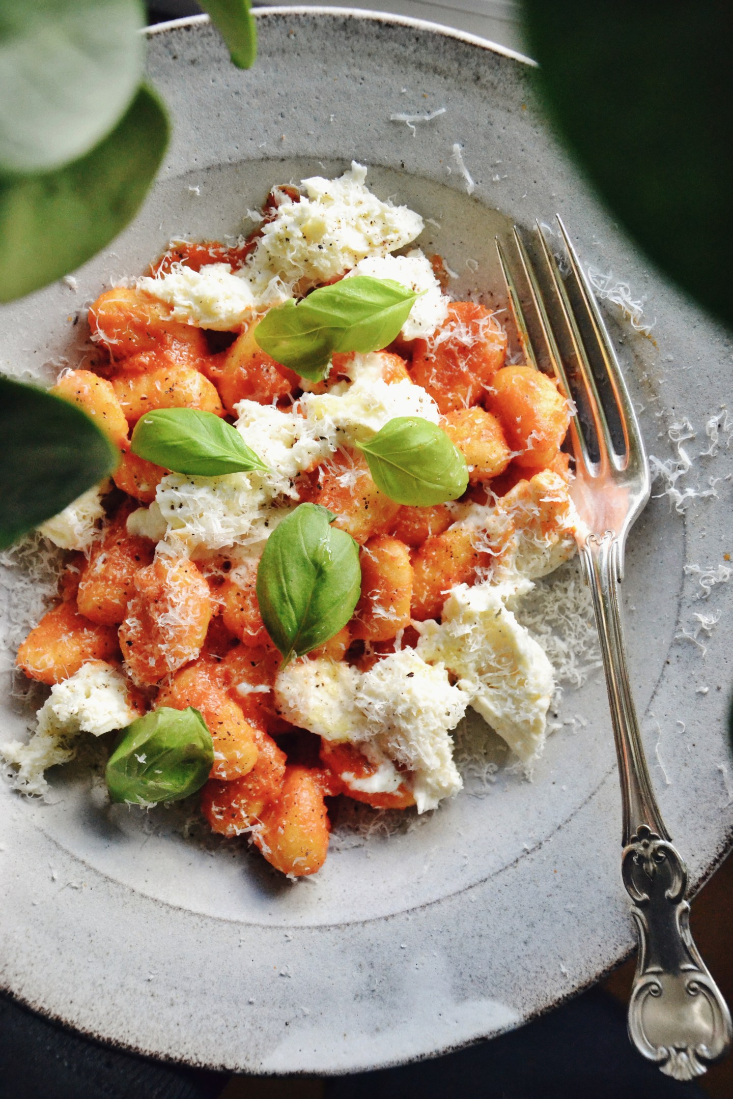 Gnocchi Med Tomatsås Mozzarella And Parmesanost Primavera Content