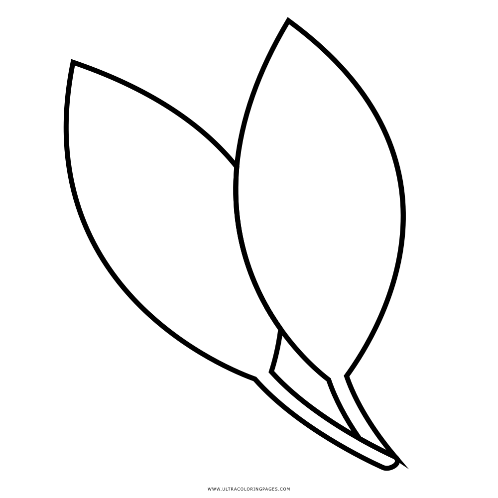 Hojas De Arbol Leaf Coloring Page Hojas De Arbol Para Colorear Hd Png