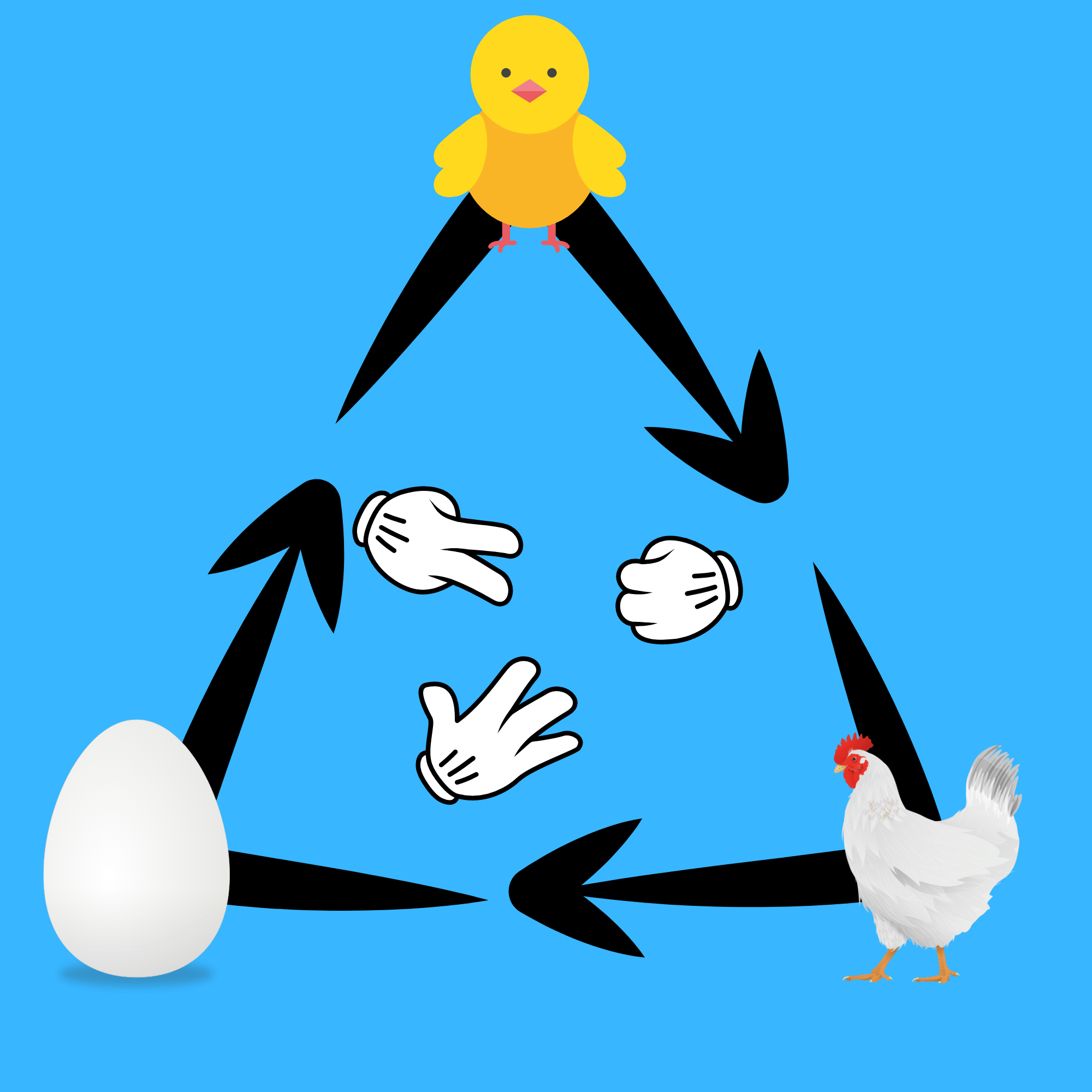 La Gallina Y Sus Pollitos Juego Gallina Con Pollitos Imagenes