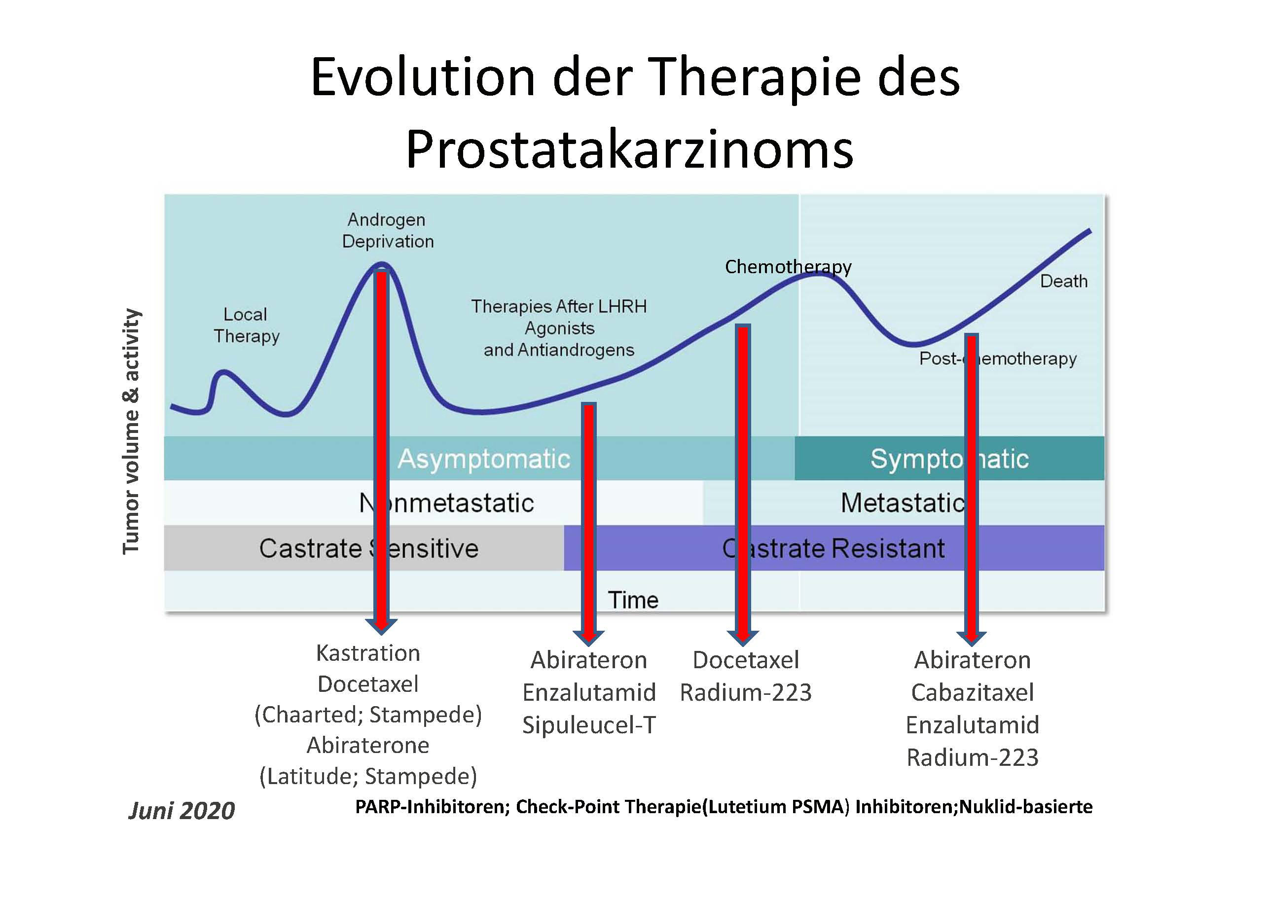 Prostatakrebs Verlauf Lebenserwartung Prostatakrebs Ratgeber