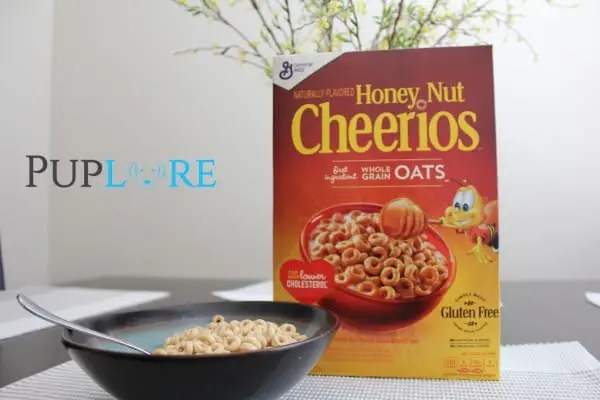 36 Can Dogs Eat Cheerios Cereal Home