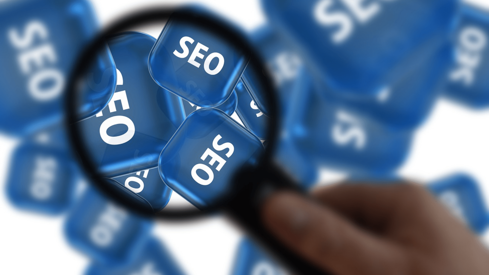 Excellent Tips To Get Seo Leads For Business In 2023 Reviewgrower