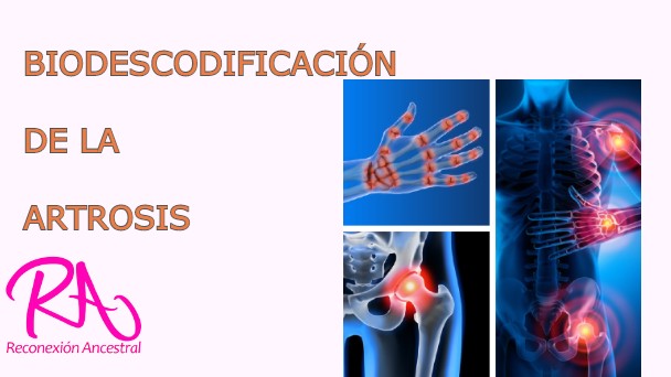 BiodescodificaciÓn De La Artrosis Reconexión Ancestral