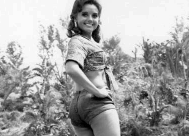 Gilligans Island Dawn Wells Mary Ann Dies At 82 Reel 360 News