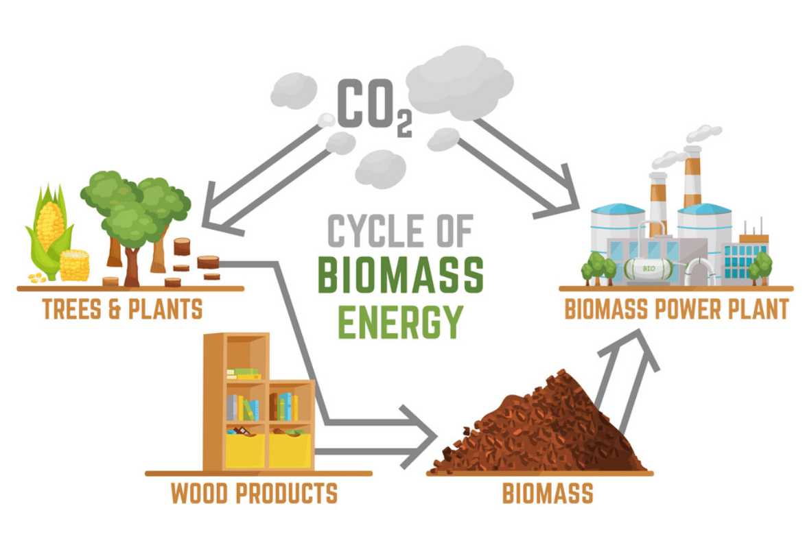 What Is Biomass Energy And How Biomass Energy Is Generated