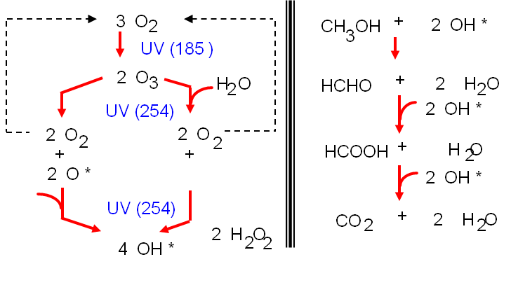 Uv Irradiation Method Rephile Bioscience