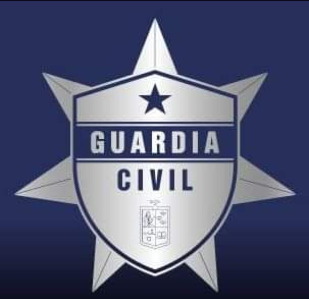 Presentan Nuevo Logo De La Guardia Civil De Michoacán Representantes