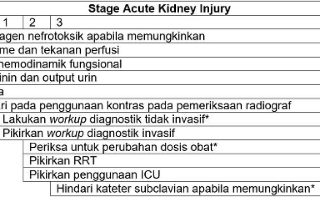 Gagal Ginjal Akut Patofisiologi Diagnosis Penatalaksanaan Alomedika