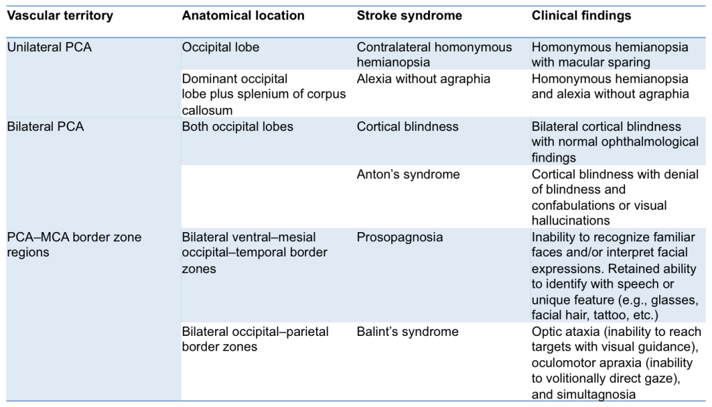 Posterior Circulation Ischemic Strokes Rush Emergency Medicine