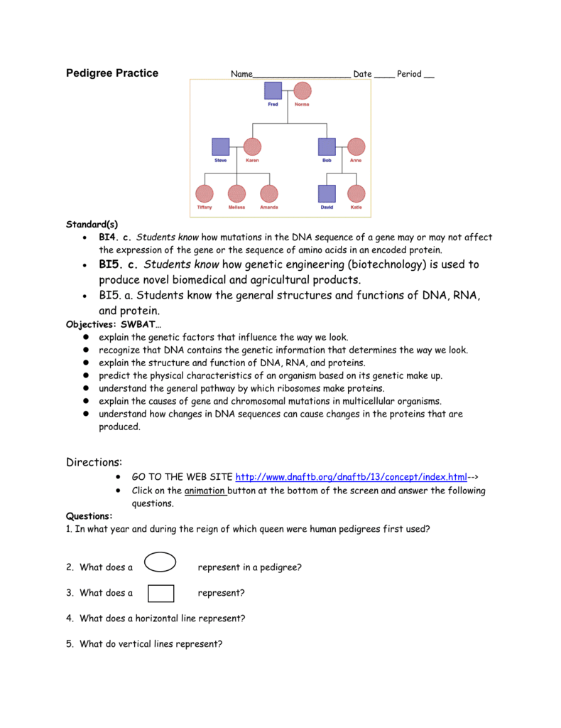 A Human Pedigree Answer Key Practice Pedigrees Summarize Mendels