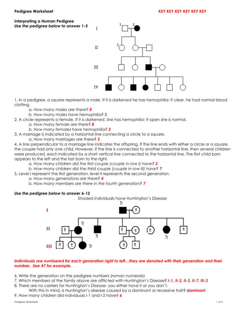 Pedigree Charts Worksheets Answer Key