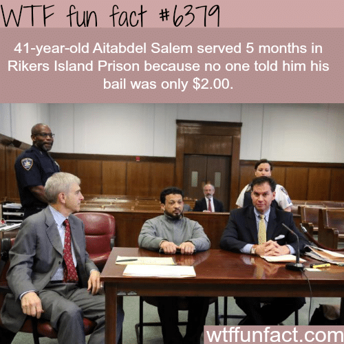 Wtf Fun Facts Page 758 Of 1412 Funny Interesting And Weird Facts