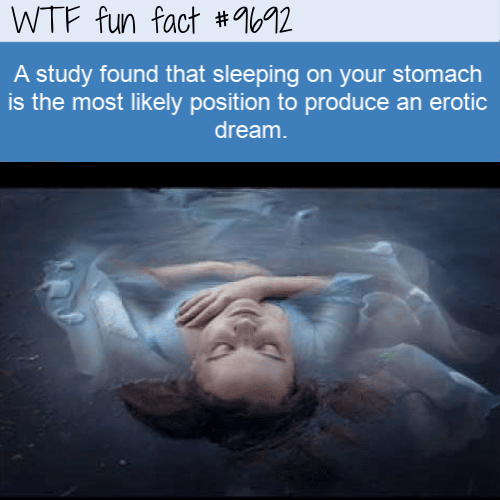 Wtf Fun Facts Page 421 Of 1450 Funny Interesting And Weird Facts