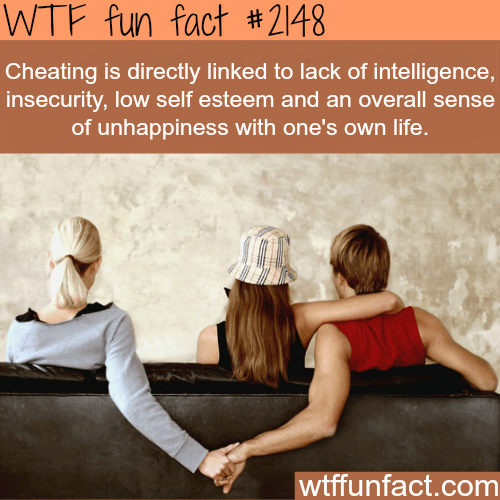 Wtf Fun Facts Page 1205 Of 1412 Funny Interesting And Weird Facts