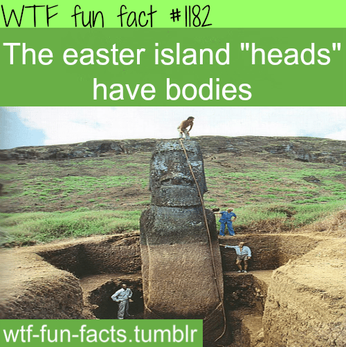 Easter Island Have Bodies