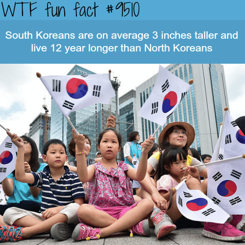 South Koreans Vs North Koreans Wtf Fun Fact