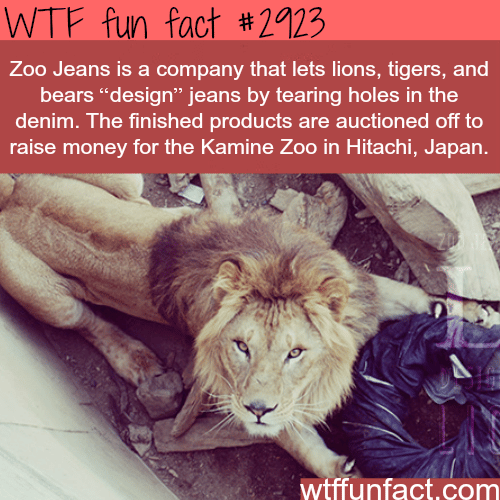 Wtf Fun Facts Page 1119 Of 1412 Funny Interesting And Weird Facts