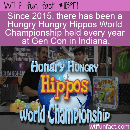 Wtf Fun Fact Hungry Hungry Hippos World Championship