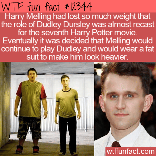 Wtf Fun Fact Dudley Dursleys Weight Loss