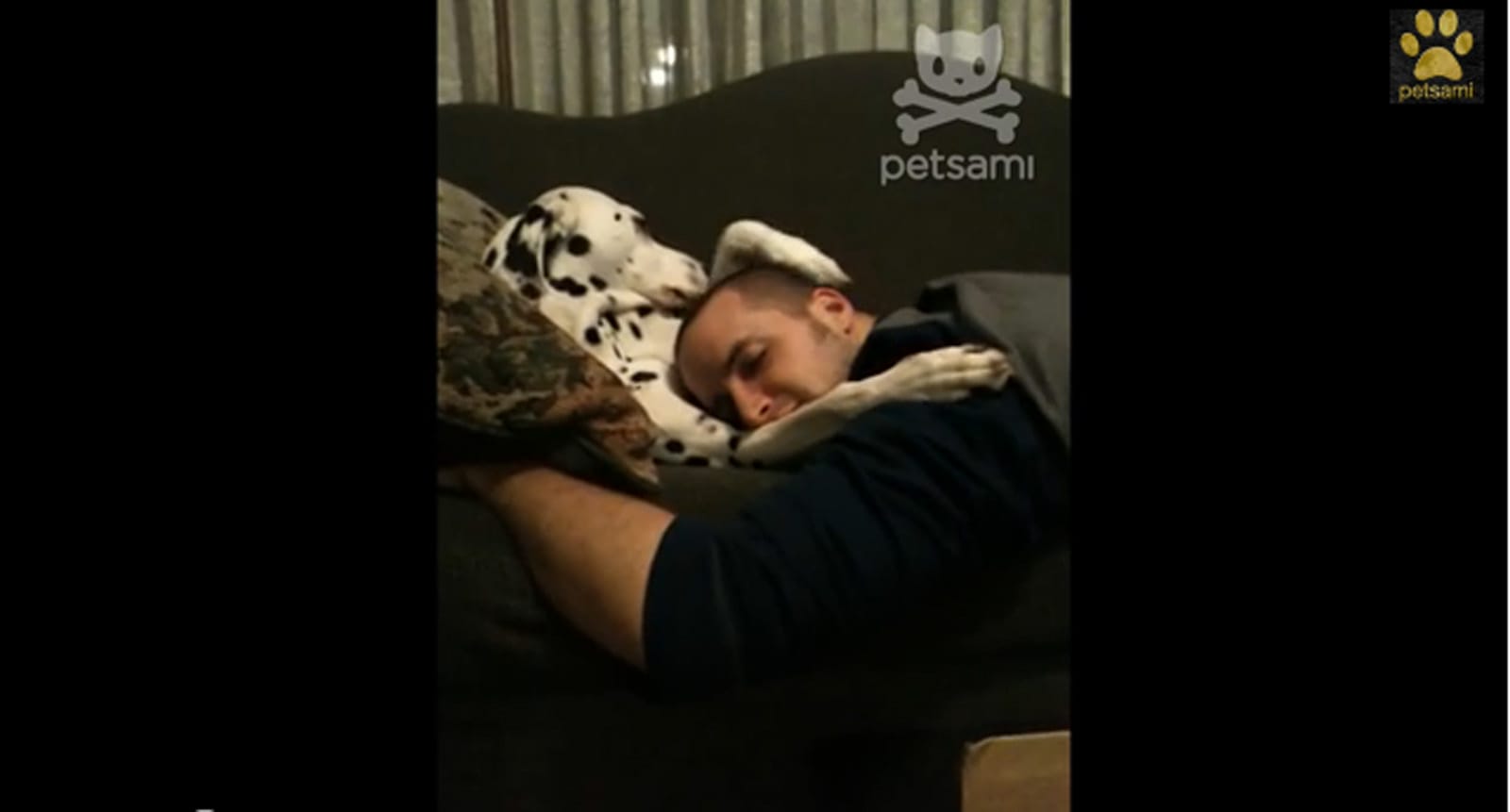 Dog Comforts His Human Dad In The Sweetest Way Possible Video One