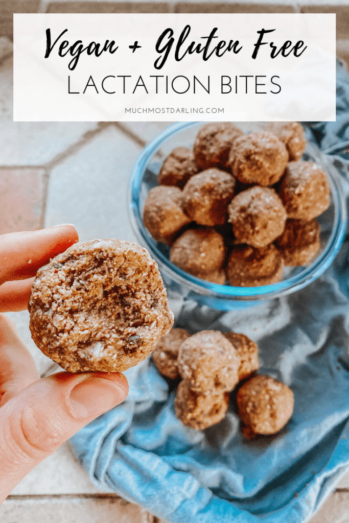 Vegan Gluten Free Lactation Bites Recipe Much Most Darling