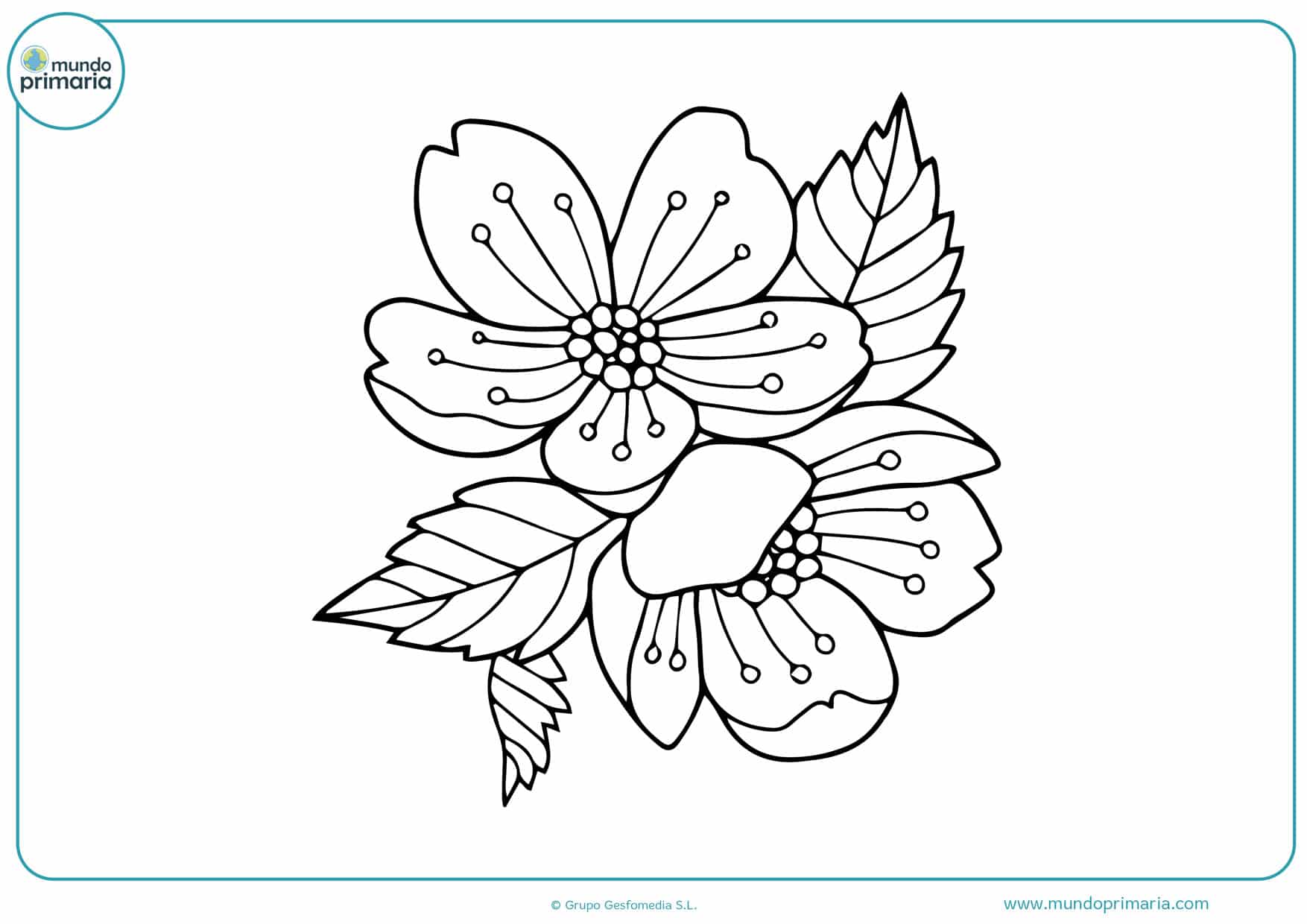 Dibujos De Flores Para Colorear 【bonitas Y Fáciles De Pintar】 2023