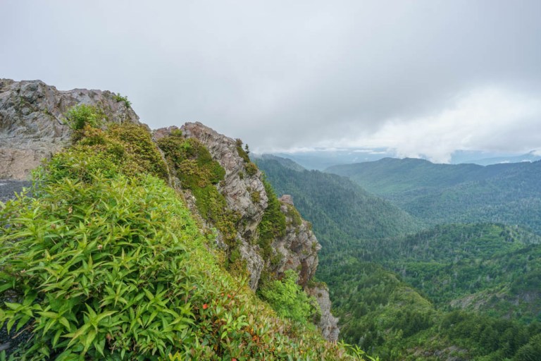 Great Smoky National Park 16 Le Blog De Mathilde