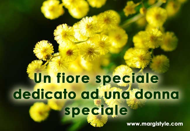 Goauguri Mimose Foto Auguri Per La Festa Delle Donne