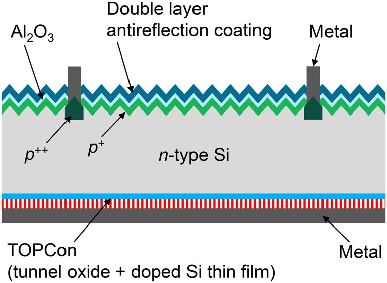 Solar Cell Topcon Type N Technology Maysun Solar