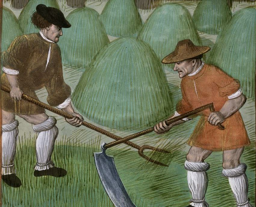 Agricultural Wage Labour In Fifteenth Century England