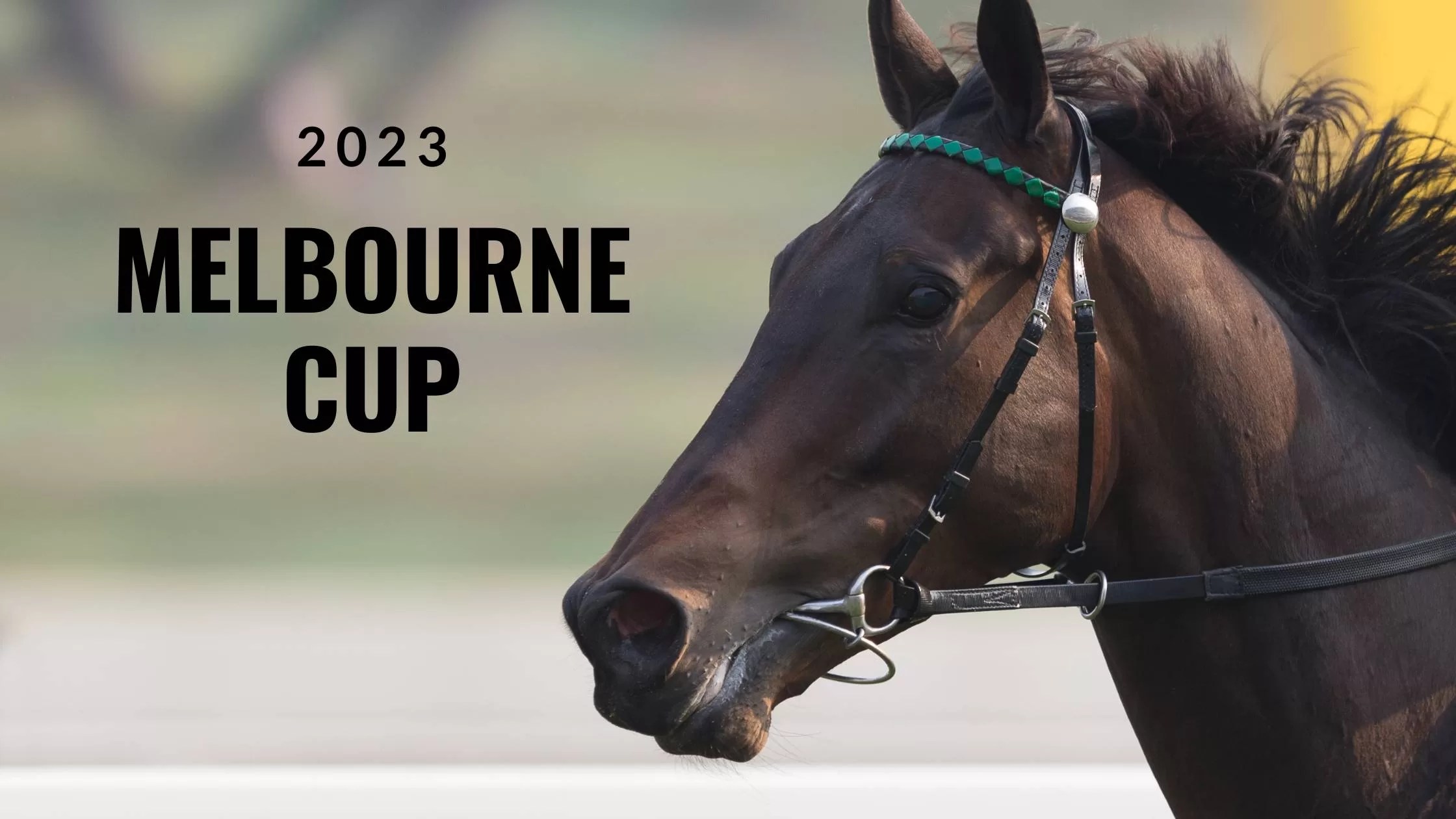 Melbourne Cup 2023 Melbourne Buddy