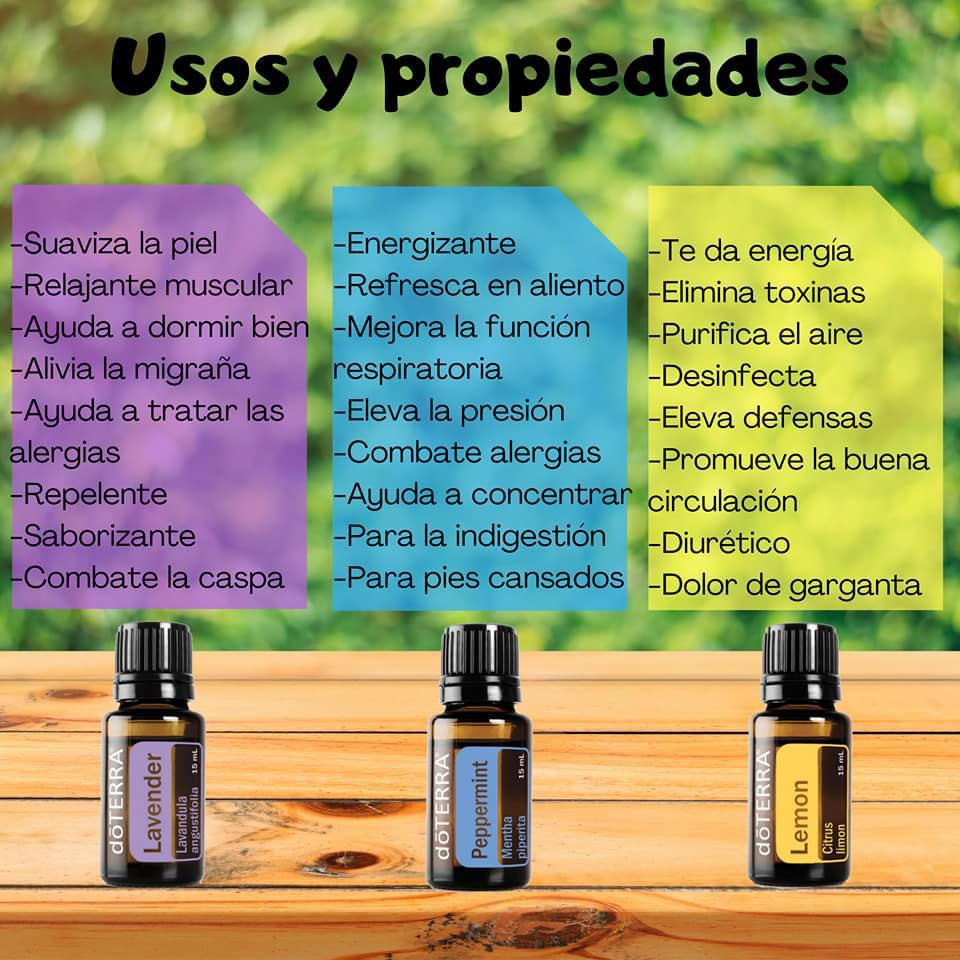 Aceites Esenciales Kit Introductorio Mercado Propyme