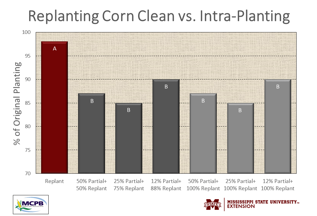 New Methods To Assess Corn Stands And Make Replant Decisions