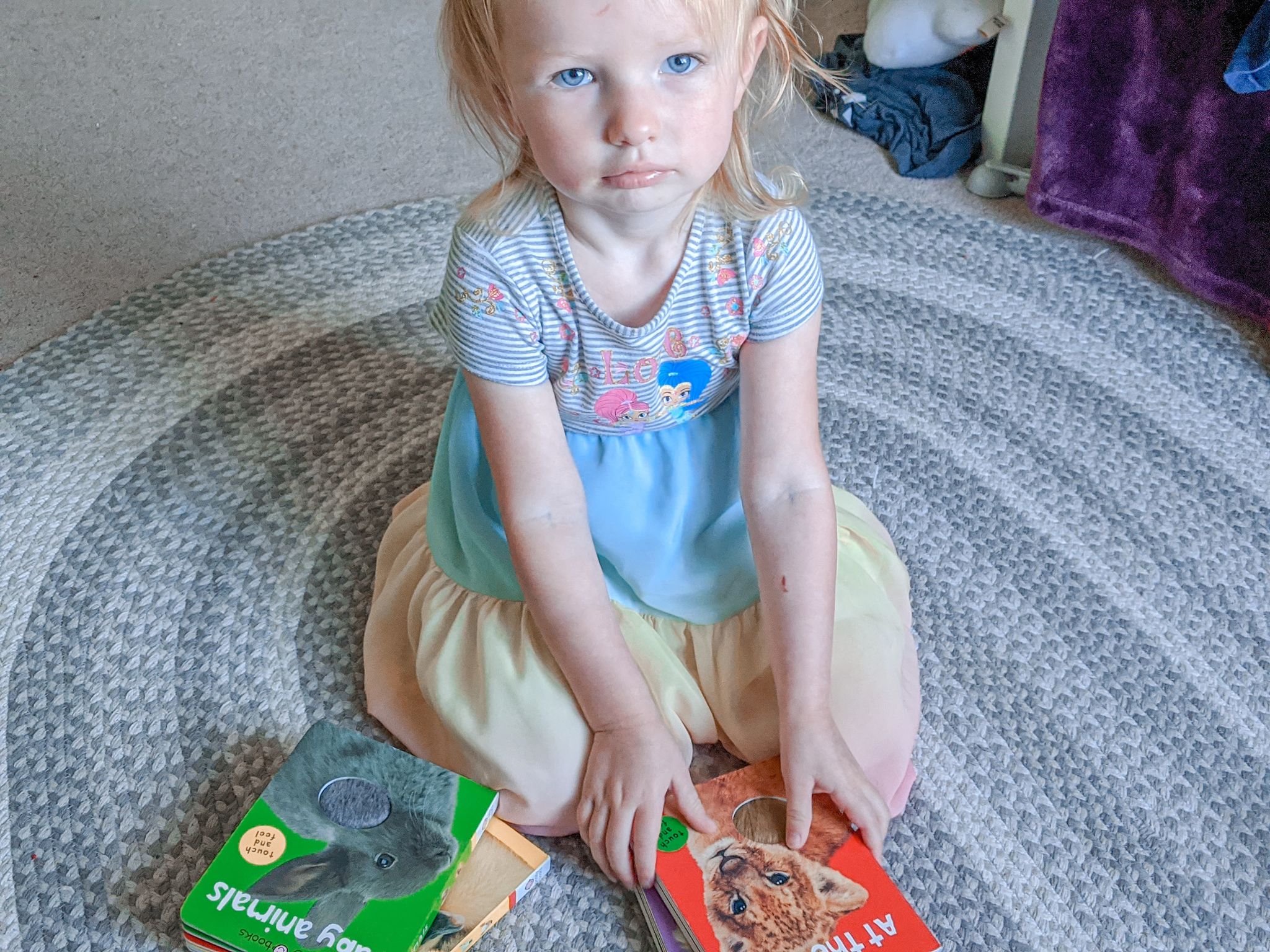 Early Learning With Priddy Books Mom Life In The Pnw