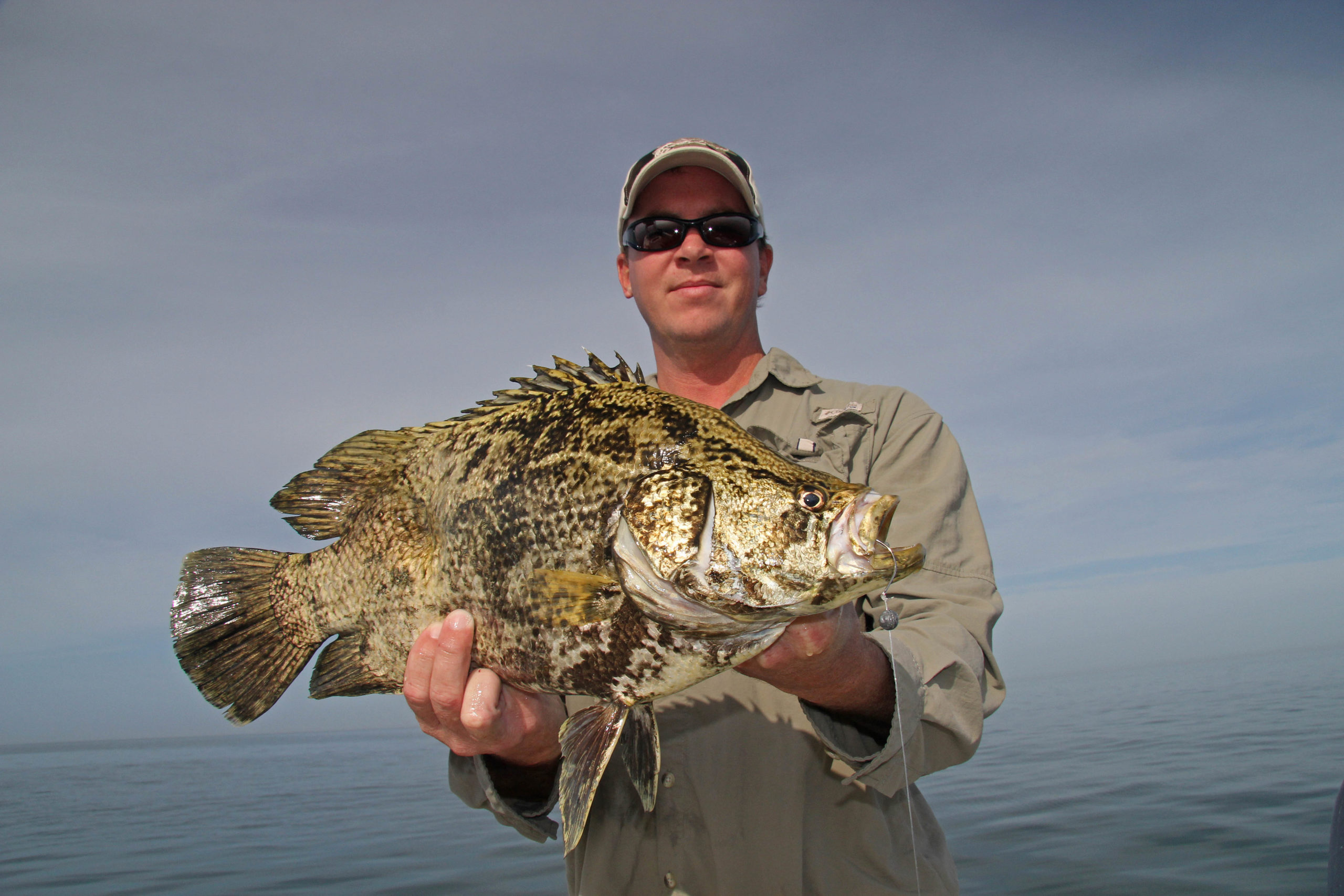 How To Fish For Tripletail Along The Mississippi Gulf Coast