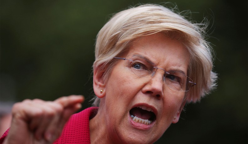 Elizabeth Warren Federal Reserve Took Flamethrower To Bank