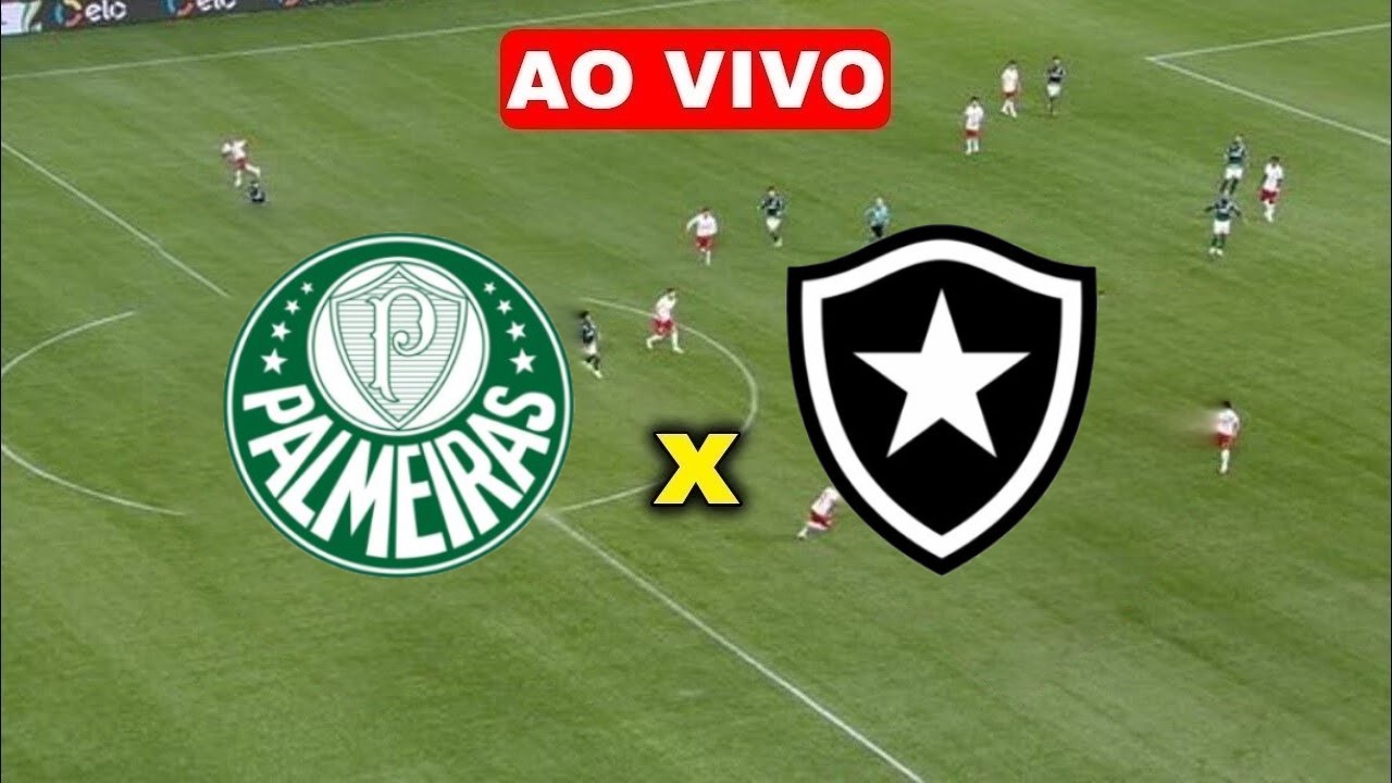 Multicanais Assistir Palmeiras X Botafogo Ao Vivo Hd 25062023 Online