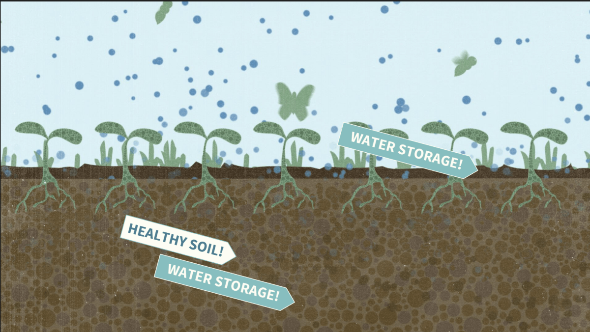 The Soil Story Nm Healthy Soil Working Group