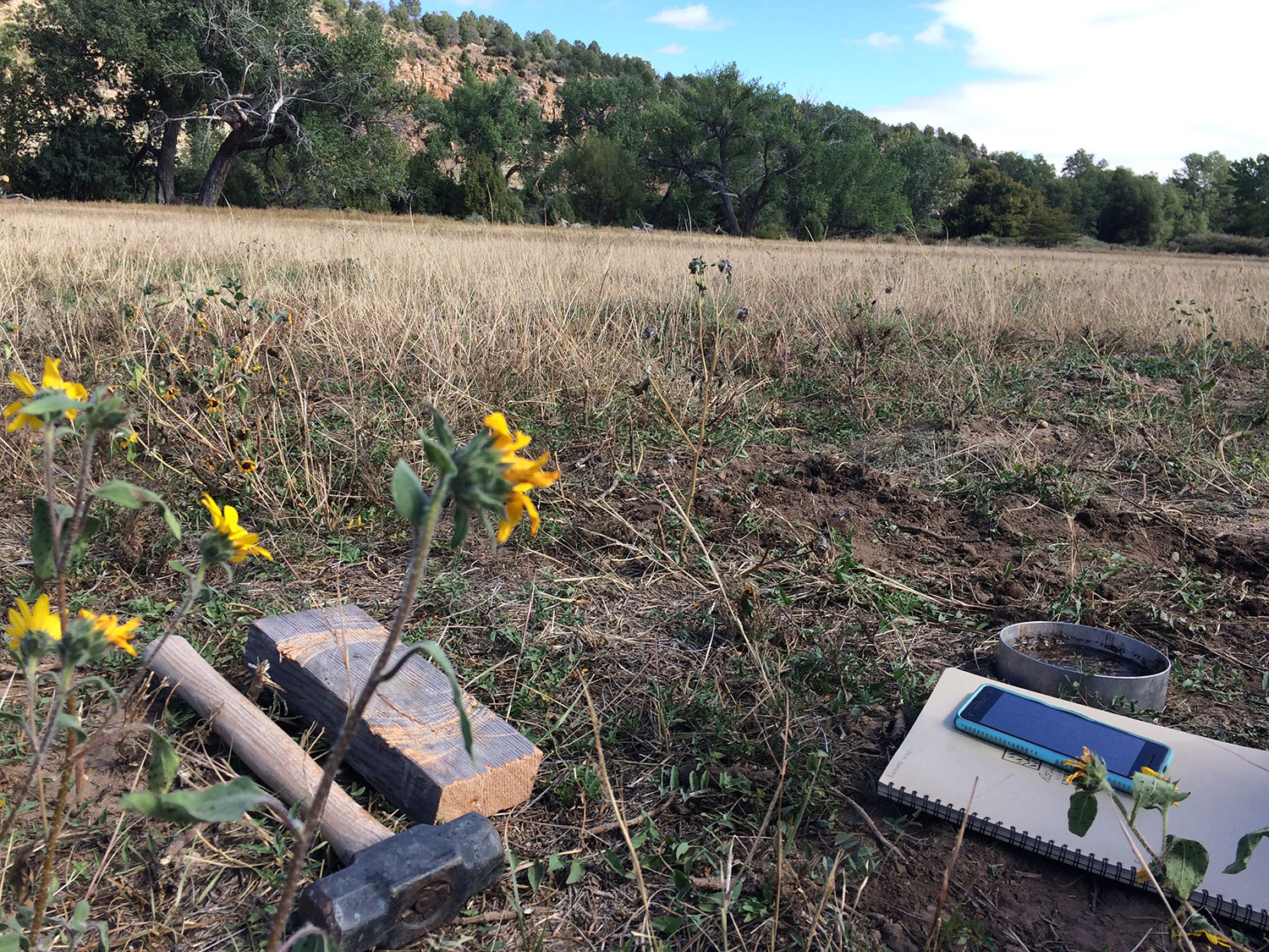 Soil Health Assessment Nm Healthy Soil Working Group