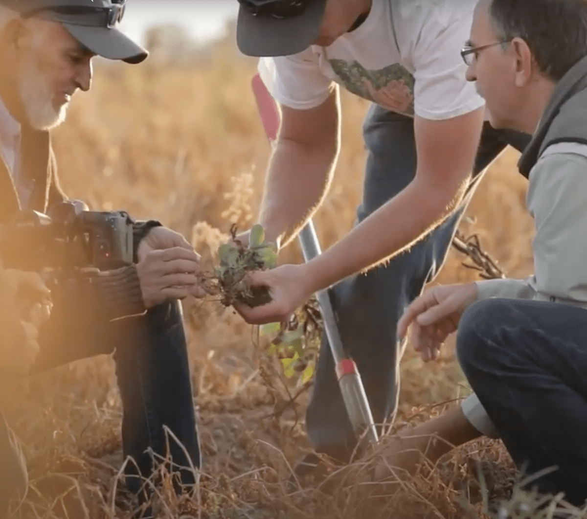 Soil Health In The Southwest Nm Healthy Soil Working Group