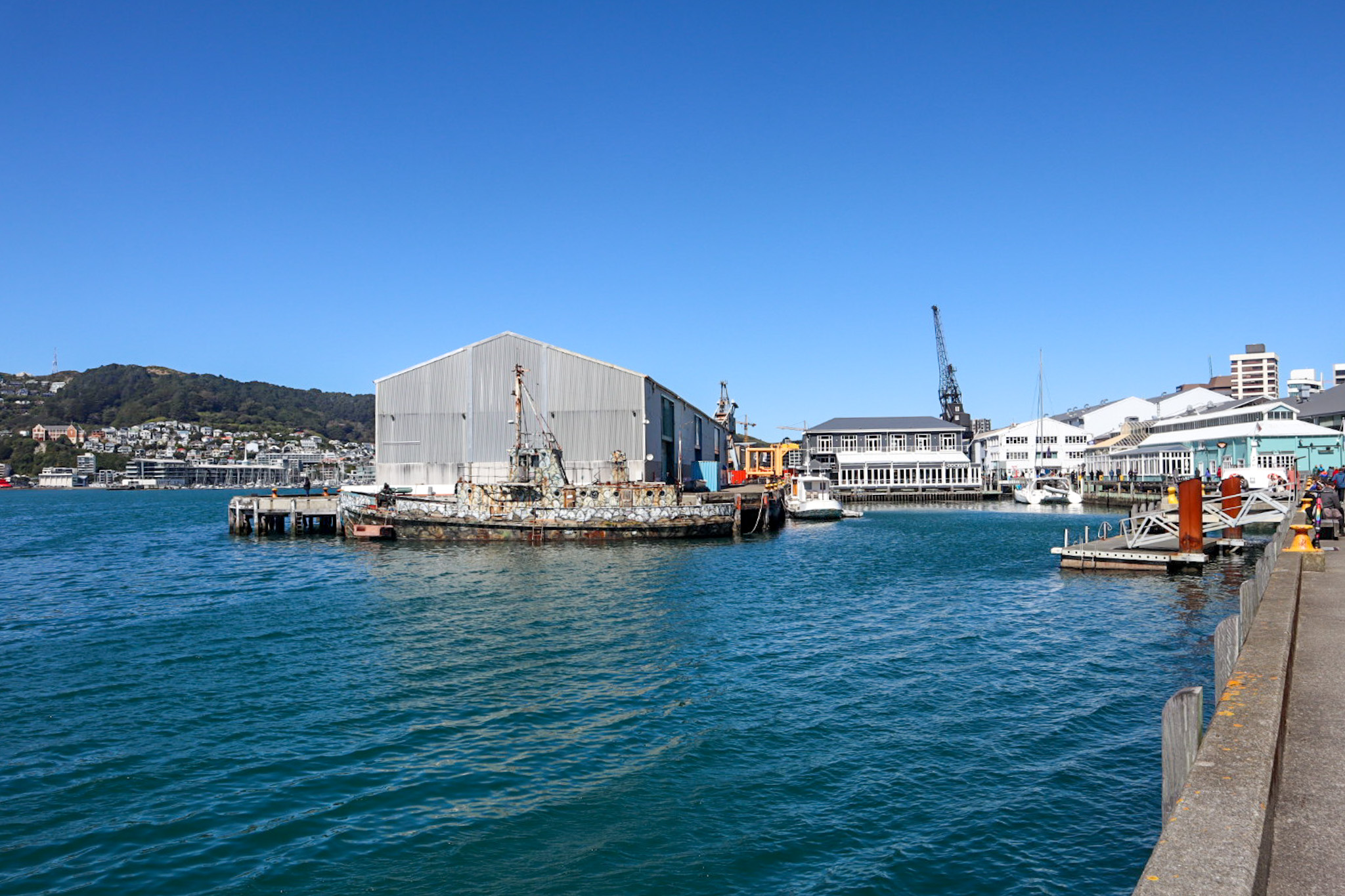 What To Do In Wellington New Zealand Best Activities In The Capital City