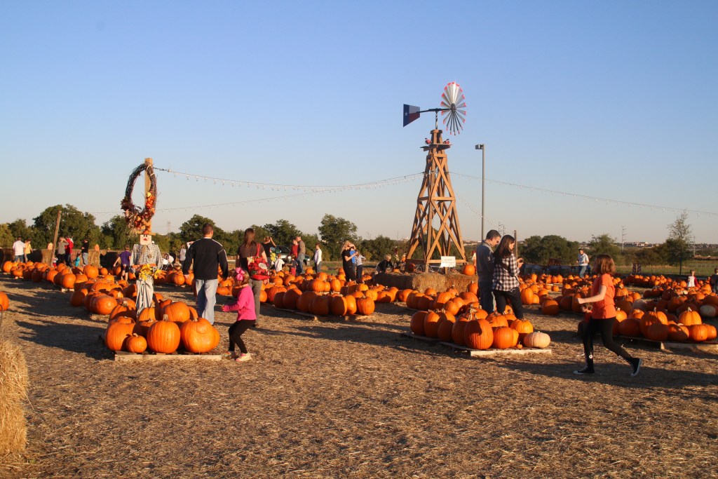 12 Pumpkin Patches And Corn Mazes In Dallas Fort Worth Fall 2021