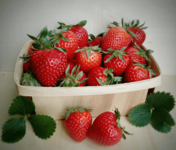 Cómo Plantar Fresas Y Fresones En Macetas Guía Completa