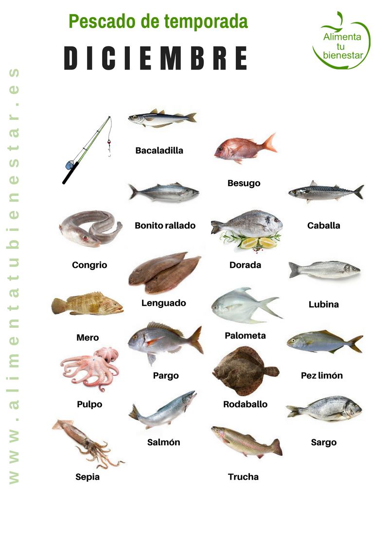 Pescado De Temporada Descarga El Calendario Para Todo El Año